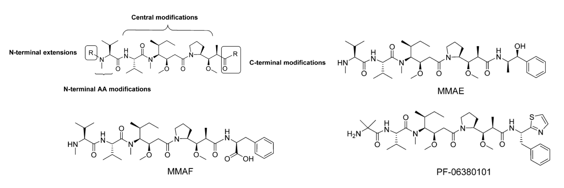 Auristatins - Creative Biolabs