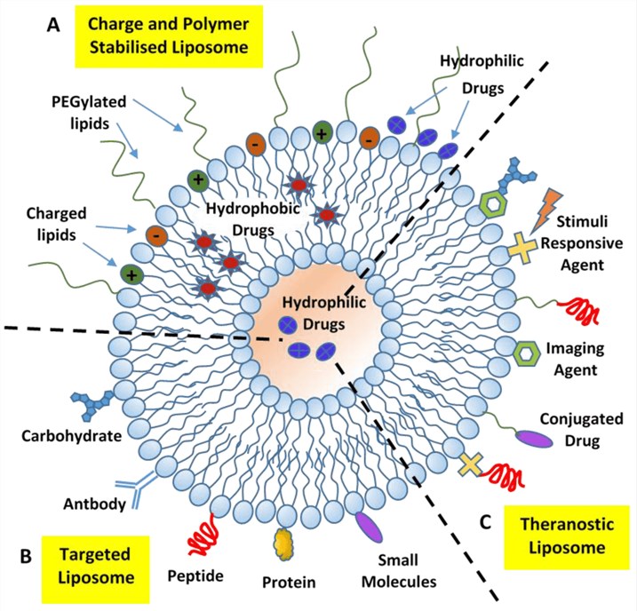 Nanocarriers - Creative Biolabs