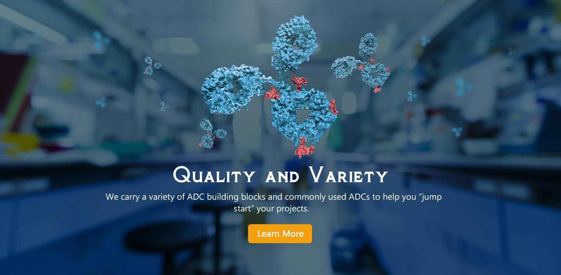 Drug Module Synthesis Services - Creative Biolabs