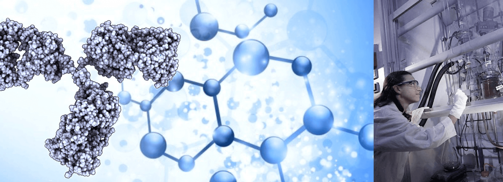 Creative Biolabs ADC Blog – Antibody-Drug Conjugate (ADC) – Creative ...