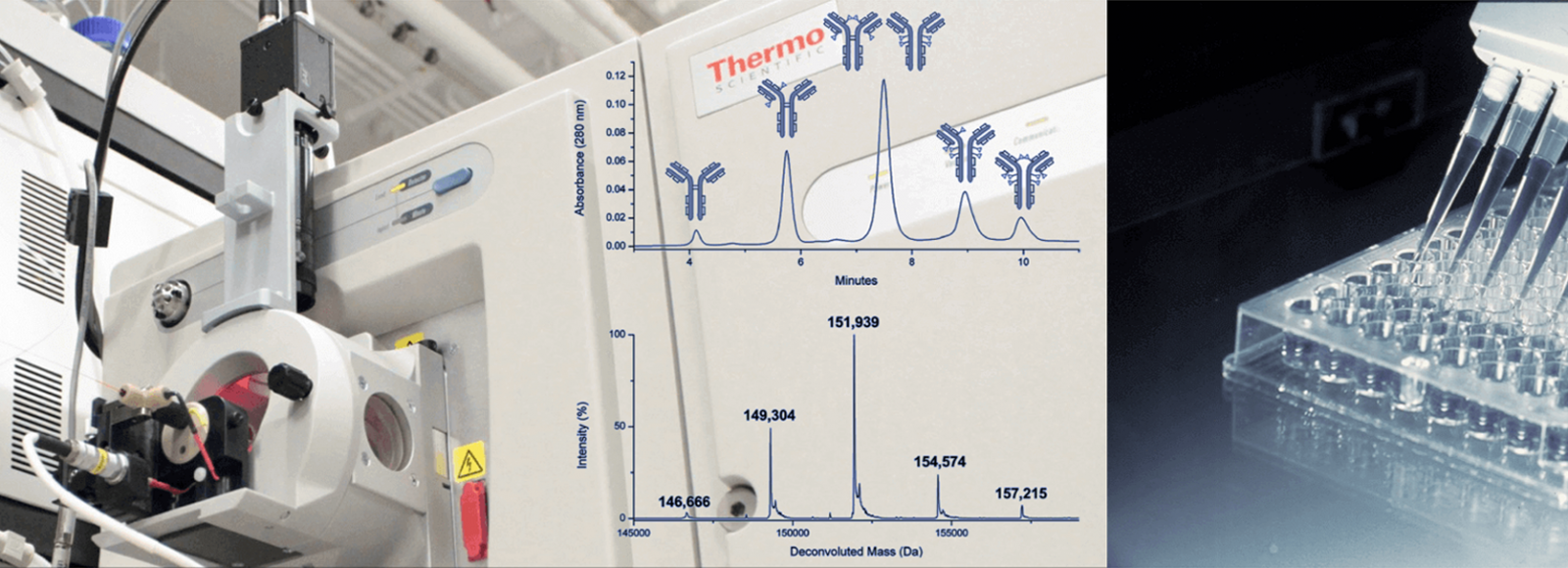 Creative Biolabs ADC Blog – Antibody-Drug Conjugate (ADC) – Creative Biolabs