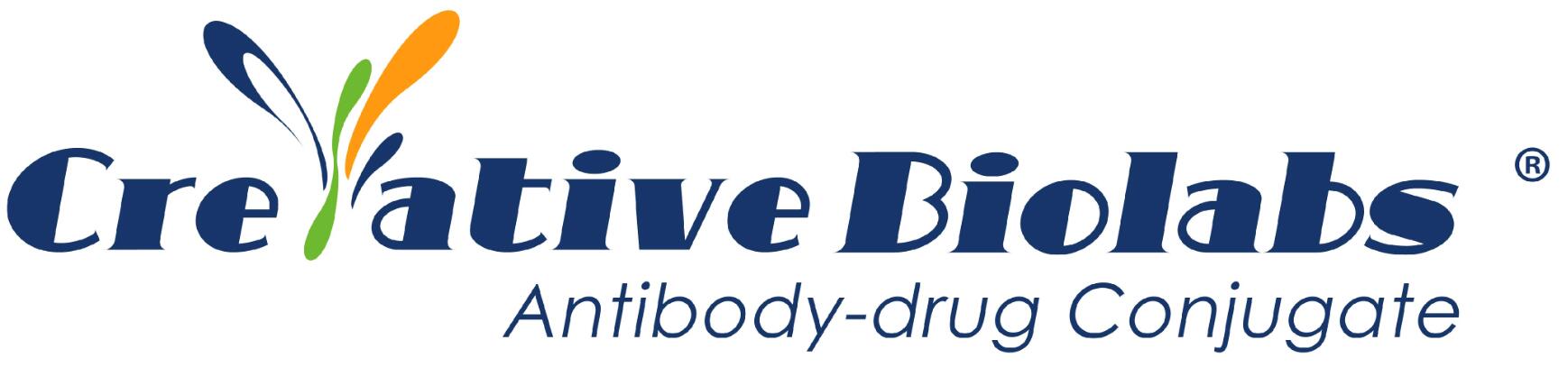Payload of Antibody-drug Conjugates (ADCs) — MMAE and MMAF Brief ...