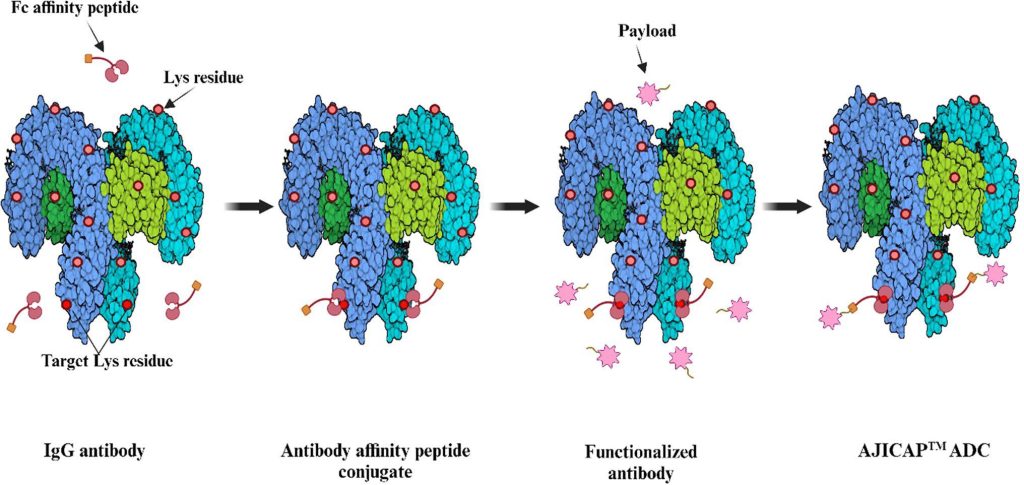 ADCs in Cancer Therapy: Innovations, Challenges, and Outlooks ...