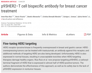 Targeted Killing of Breast Cancer Cells by p95HER2-T Cell Bispecific ...
