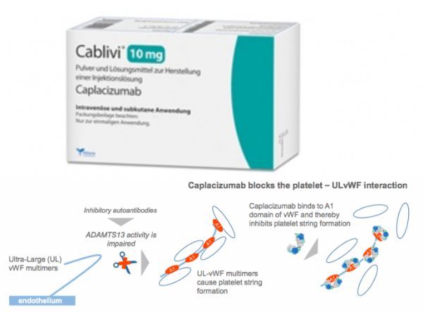 The World’s First Single-domain Antibody Drug Cablivi is Approved by ...