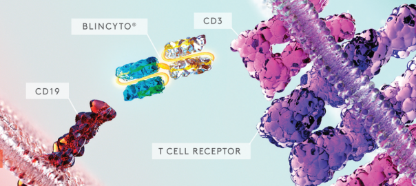 Creative Biolabs Bispecific Antibody Blog – One-stop and Full BsAb ...