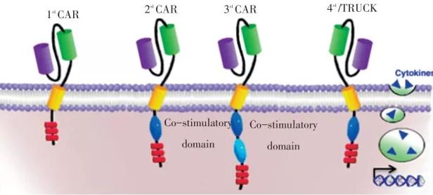 CAR-T: A Constantly Optimized Anti-cancer Therapy – Creative Biolabs ...