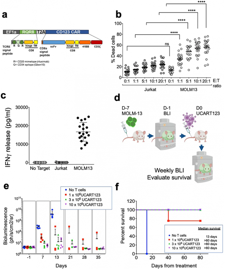 CAR-T Cells Targeting CD123 Specifically Kill Acute Myeloid Leukemia ...
