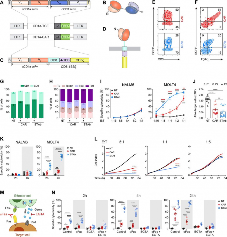 STAb-T Cell Therapy: Promising Treatment for T-Cell Acute Lymphoblastic ...