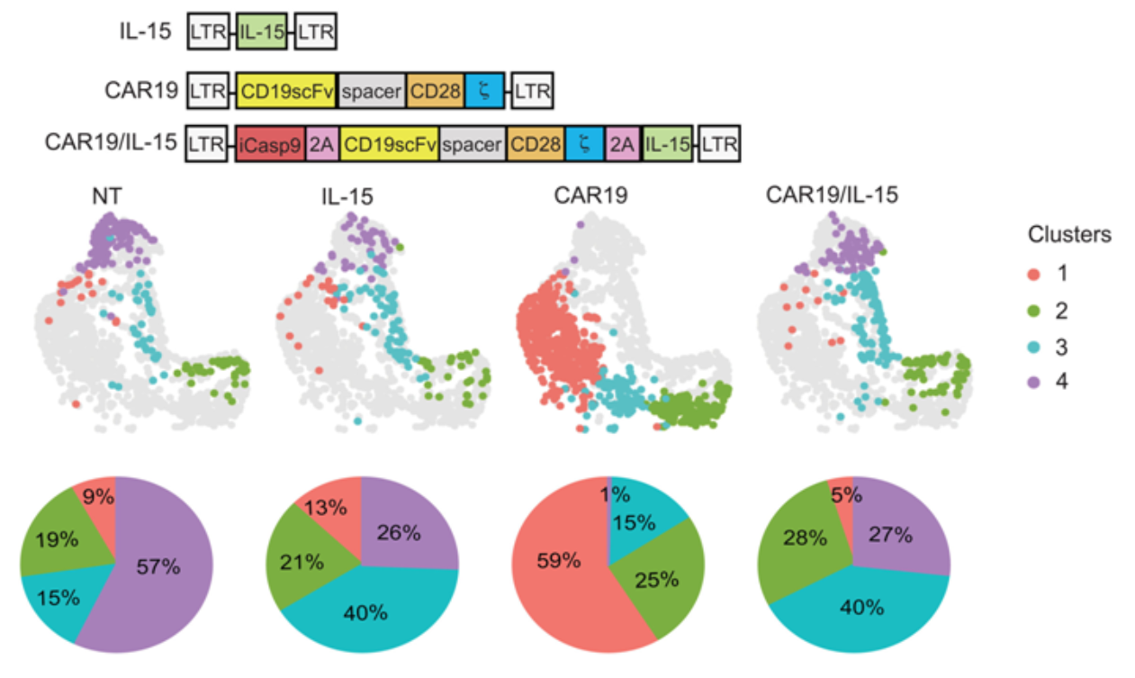 The Loss of Metabolic Adaptability Reveals a Key Mechanism of Tumor ... The Loss of Metabolic Adaptability Reveals a Key Mechanism of Tumor ...