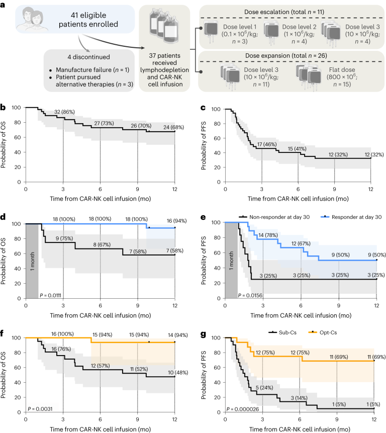 Positive Outcomes in Clinical Trial of Cord Blood-Derived CAR-NK Cell ...