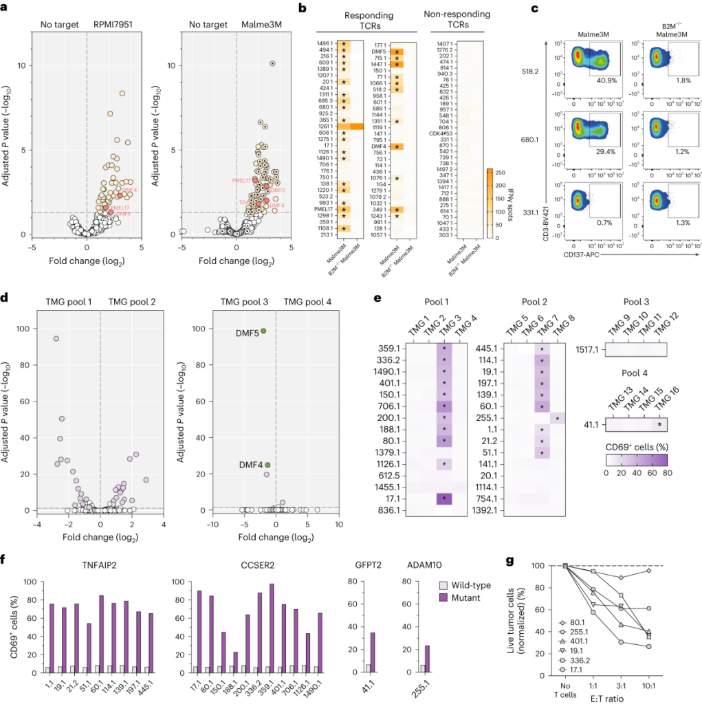 High-throughput Discovery of Tumor-Reactive T Cell Receptors: Advancing Personalized Cellular ...