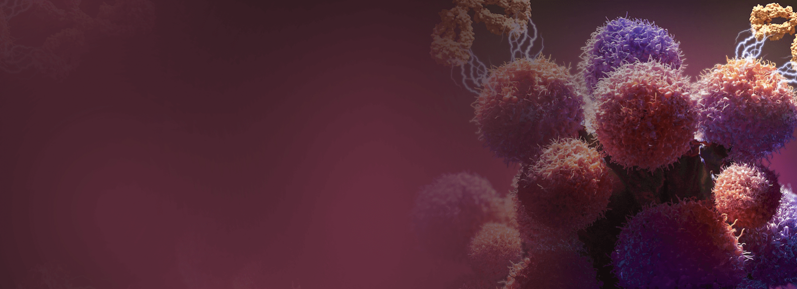 Creative Biolabs Complement Therapeutics Blog
