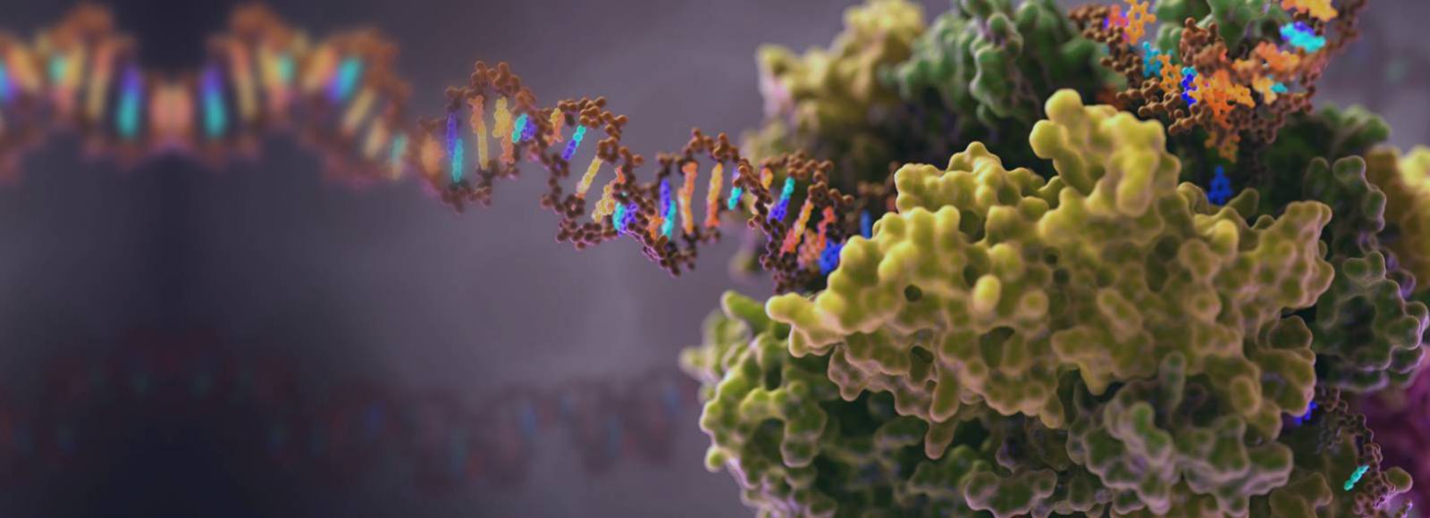 Creative Biolabs Complement Therapeutics Blog