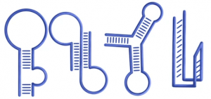 Creative Biolabs Complement Therapeutics Blog