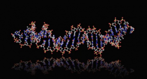 Creative Biolabs Complement Therapeutics Blog