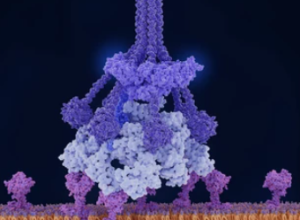 Creative Biolabs Complement Therapeutics Blog