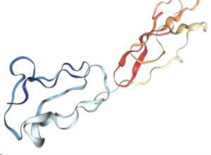 Creative Biolabs Complement Therapeutics Blog