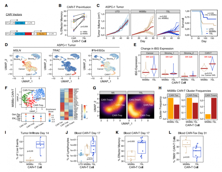 Non-coding RNA and Extracellular Vesicles Help CAR-T Enhance the ...