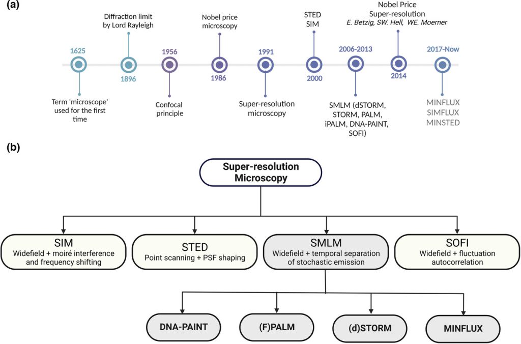 Single-Molecule Localization Microscopy for Investigating Small Extracellular Vesicles ...