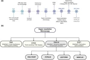 Single-Molecule Localization Microscopy for Investigating Small Extracellular Vesicles ...
