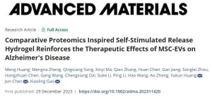 Self-Stimulating Release Hydrogel Enhances the Therapeutic Effect of ...