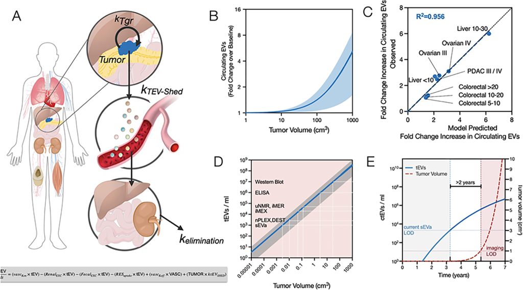 Analysis Of Single Extracellular Vesicles For Early Cancer Detection Creative Biolabs Exosome Blog