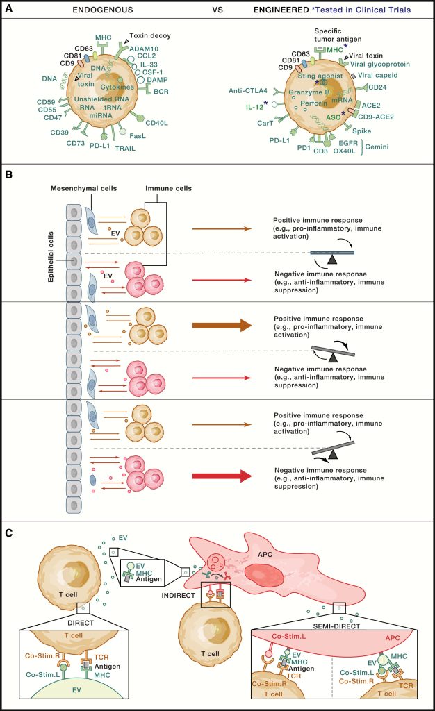 The Biology and Function of Extracellular Vesicles in Immunity ...