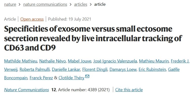 CD63: the Specific Marker Protein of Exosomes – Creative Biolabs ...