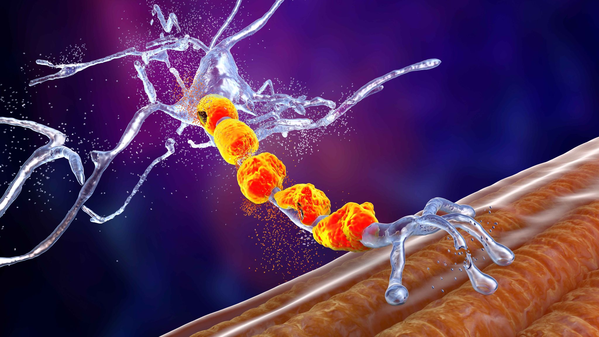 Breakthrough in ALS Treatment: Tofersen Significantly Slows Disease ...