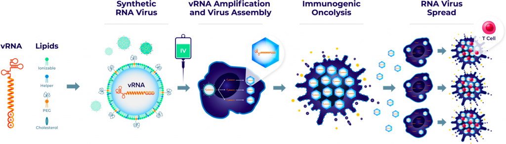 Injection of Synthetic RNA Viruses for Cancer Treatment to Address ...