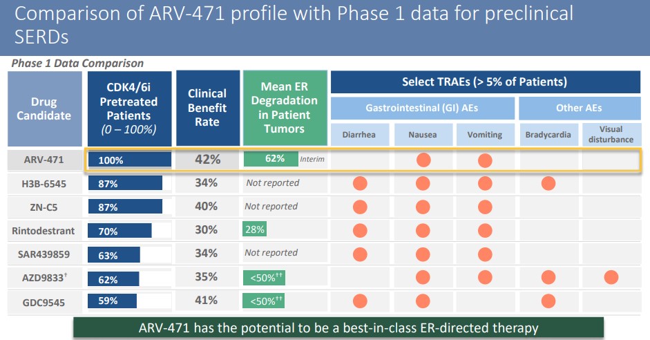 New Protein Degrader Interim Data Released—Potential ARV-471 Won ...