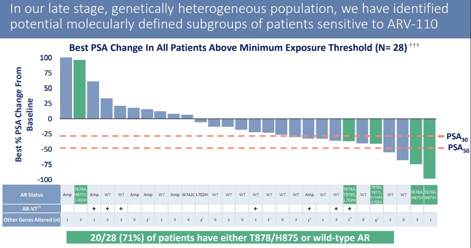 New Protein Degrader Interim Data Released—Potential ARV-471 Won ...