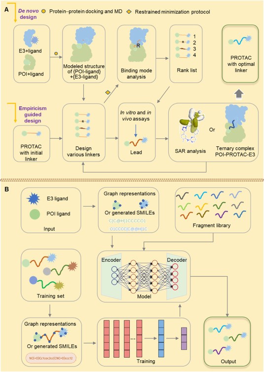 Linker Matters in Protein Degrader Design – Creative Biolabs Protein ...