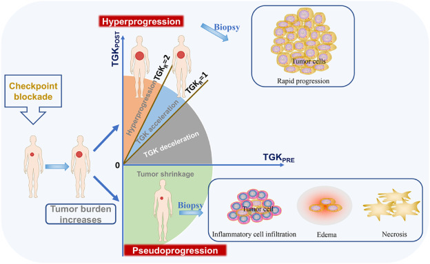 Overview on Characteristics of Tumor Immunotherapy – Creative Biolabs Blog