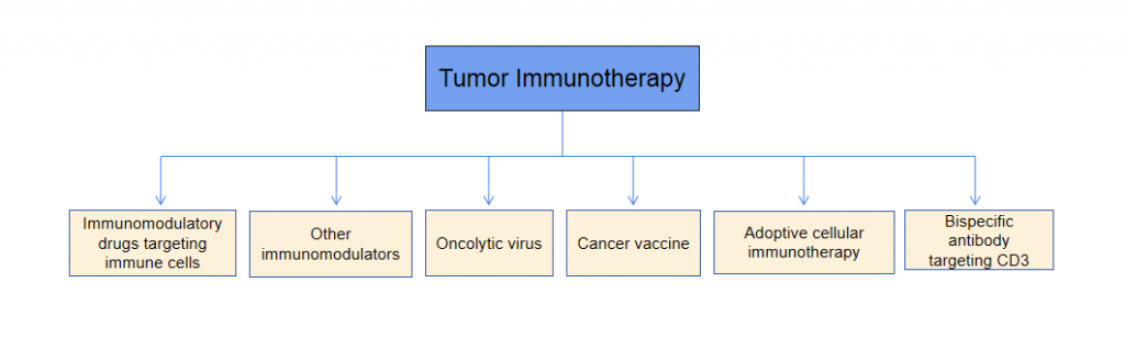 Development Status Analysis of Global Tumor Immunotherapy Industry – Creative Biolabs Blog