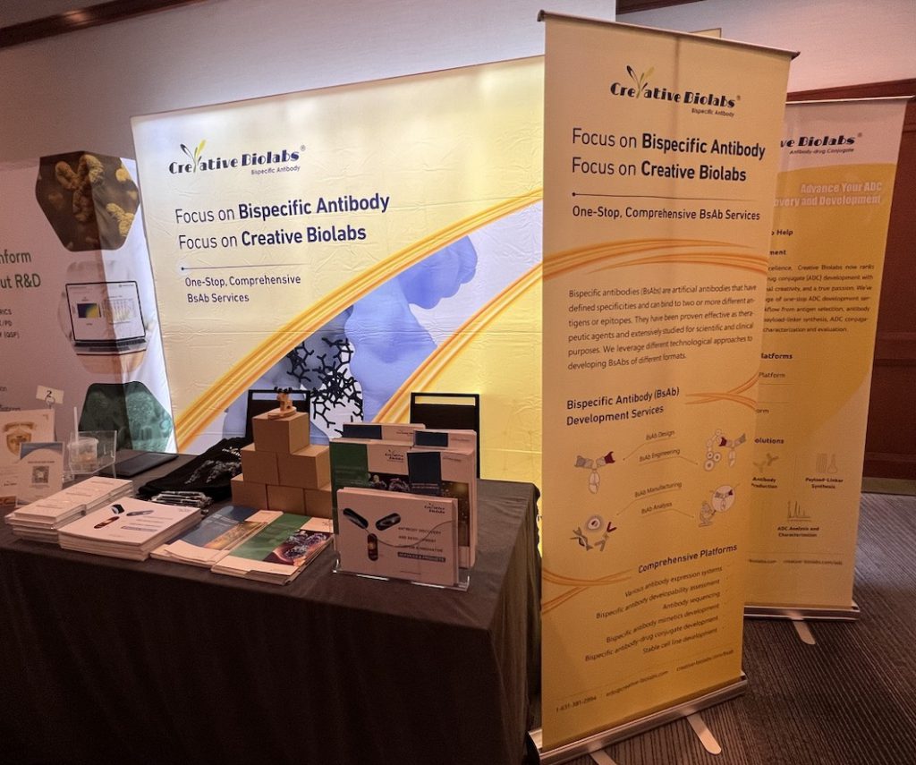 Enjoy Making Connections with You at the 13th Annual World Bispecific Summit – Creative Biolabs Blog