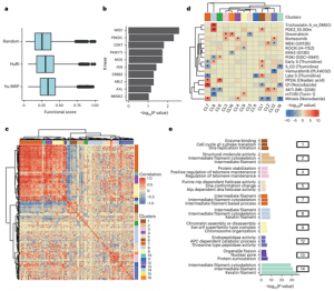 A Network Designed to Analyze the Structure of Human Protein ...
