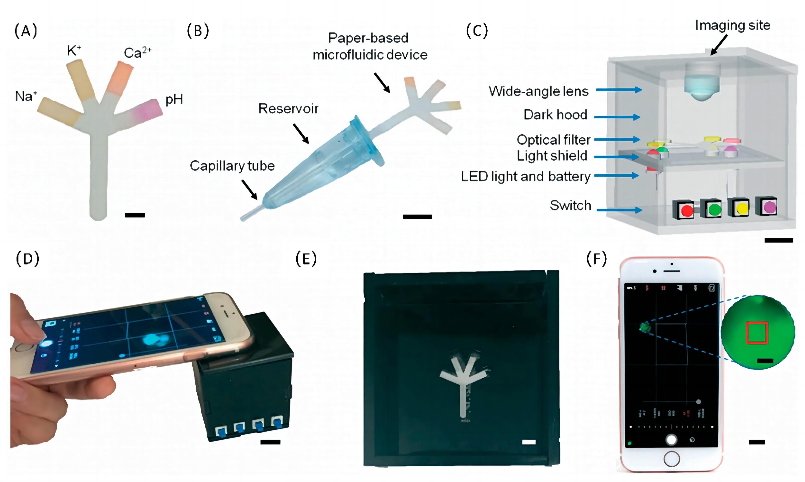 Fluorescence Detector