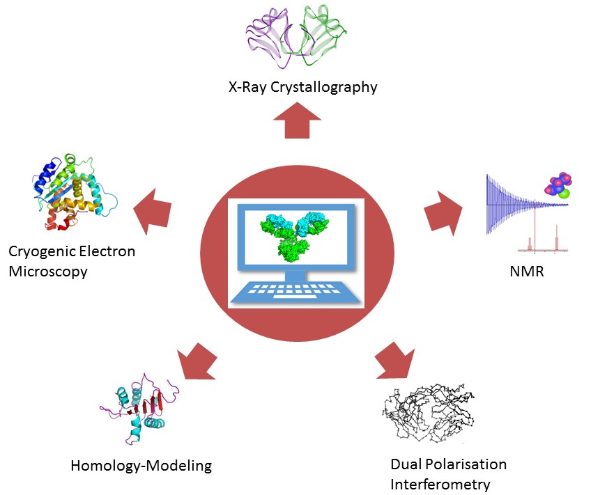 Tertiary Structure