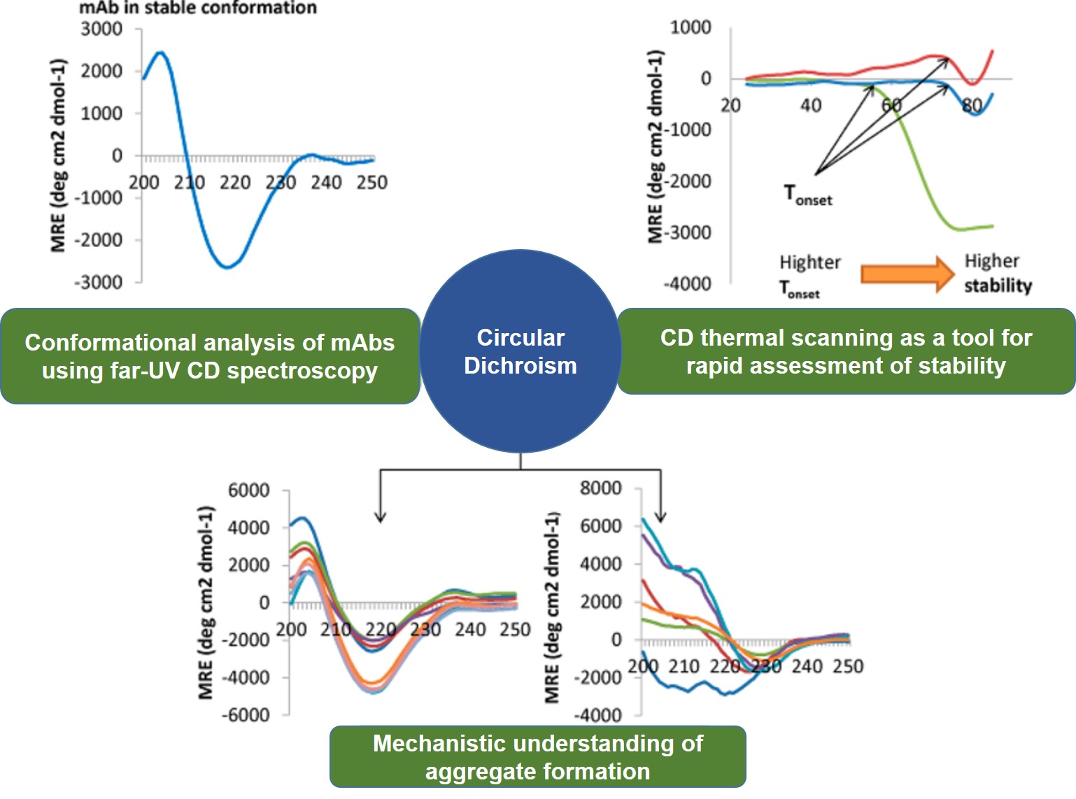 Circular Dichroism Circular Dichroism Spectroscopy (CD) – CET
