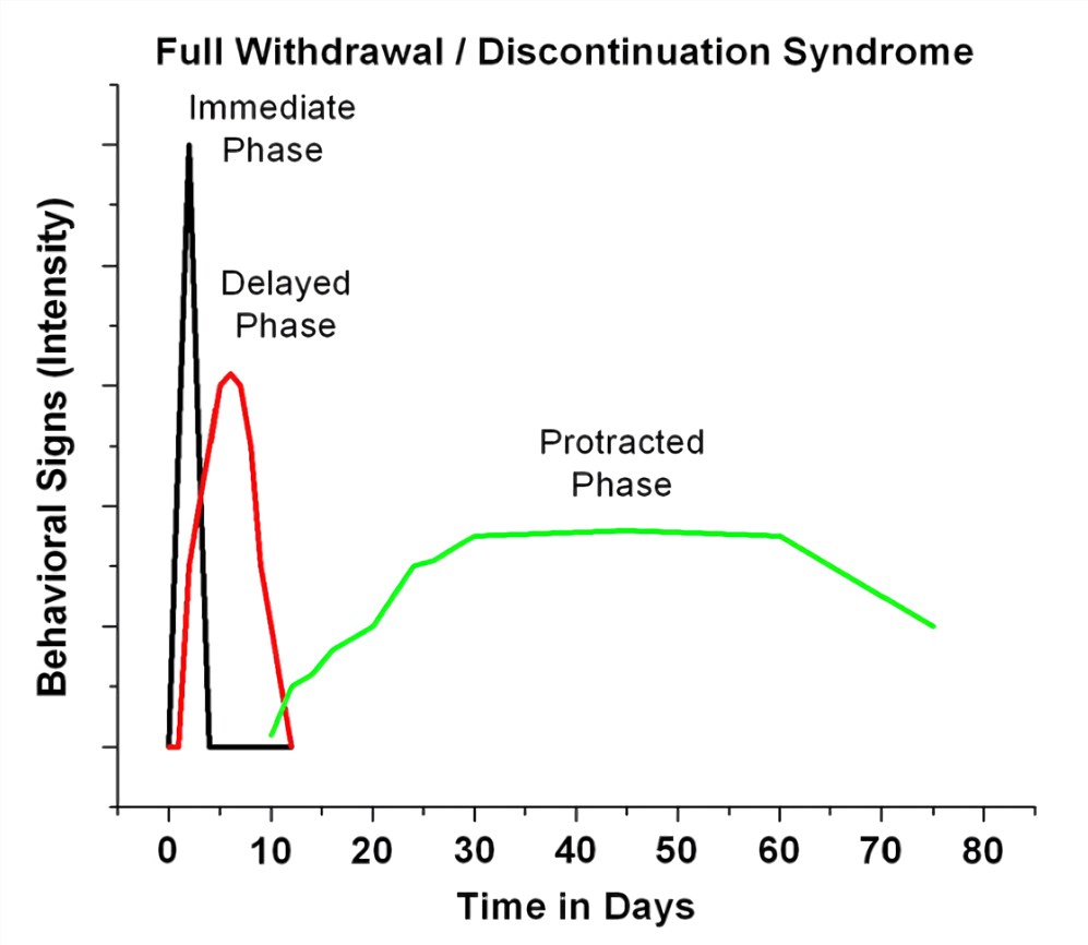 Drug Withdrawal Diagram