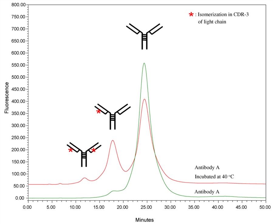 Hydrophobic Interaction Chromatography