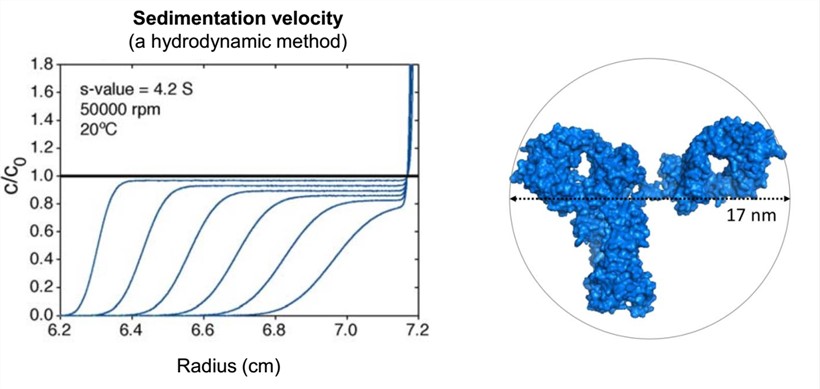 Analytical Ultracentrifuge