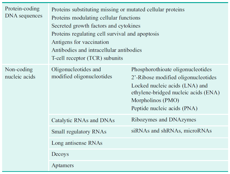 Gene Dna Protein