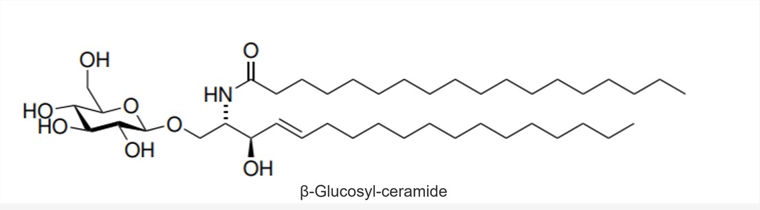 Glycolipid Chemical Structure