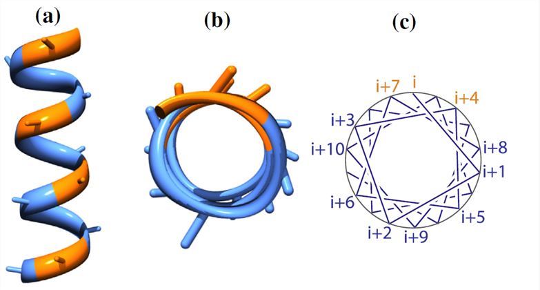 Alpha Helix Dipole