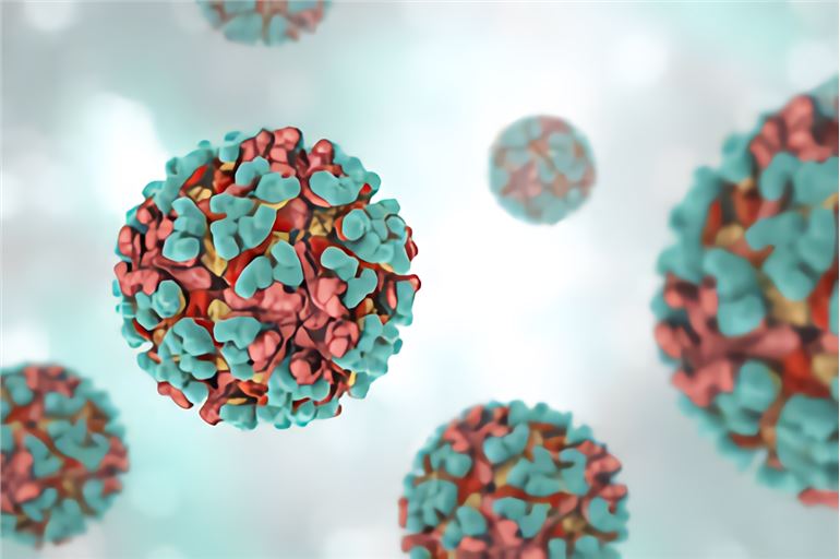 Alphavirus as Vaccine-vectors - Creative Biolabs