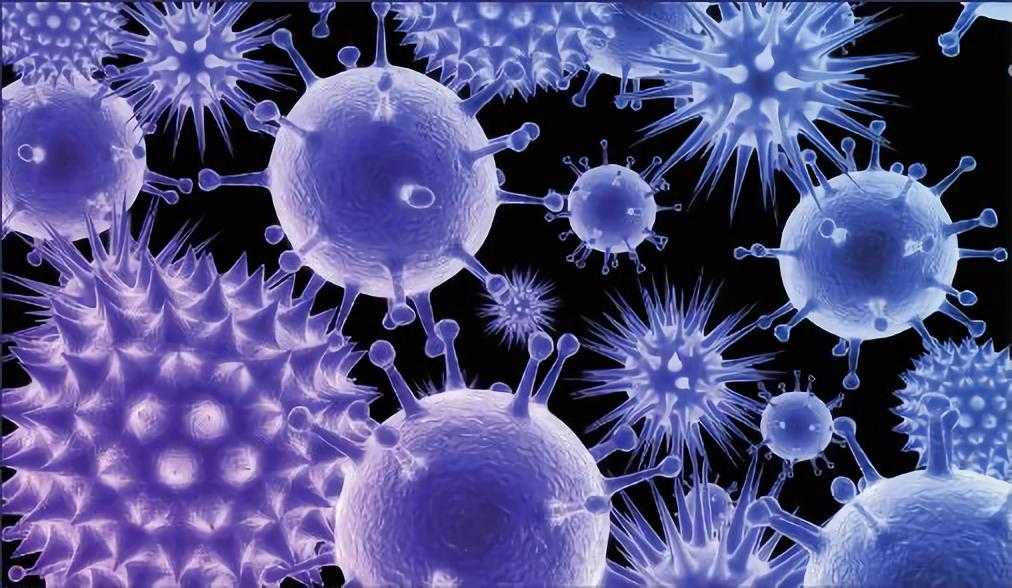 Bovine Respiratory Syncytial Virus Vaccine - Creative Biolabs