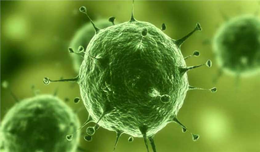Design of Alphavirus Based Vaccines for Cancer - Creative Biolabs